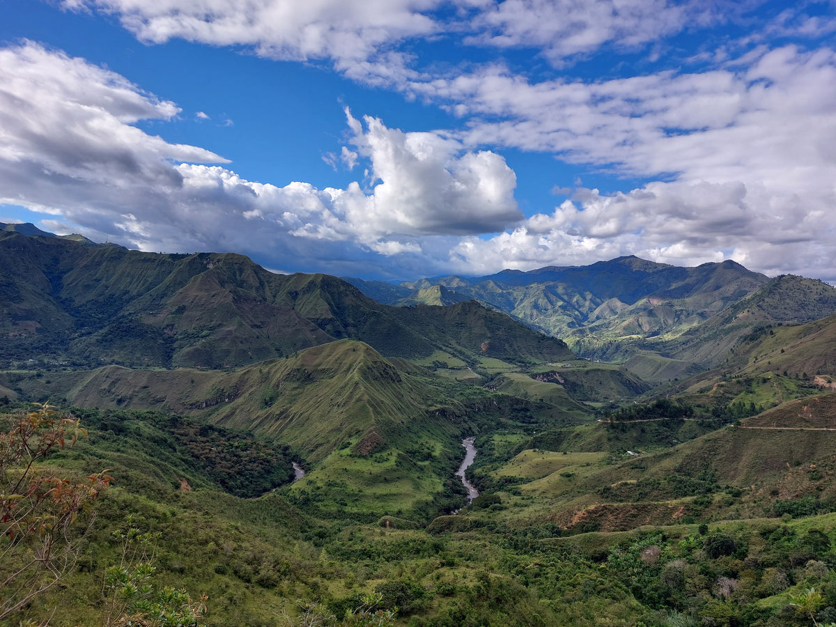 Origin Report - Colombia – Ally Open