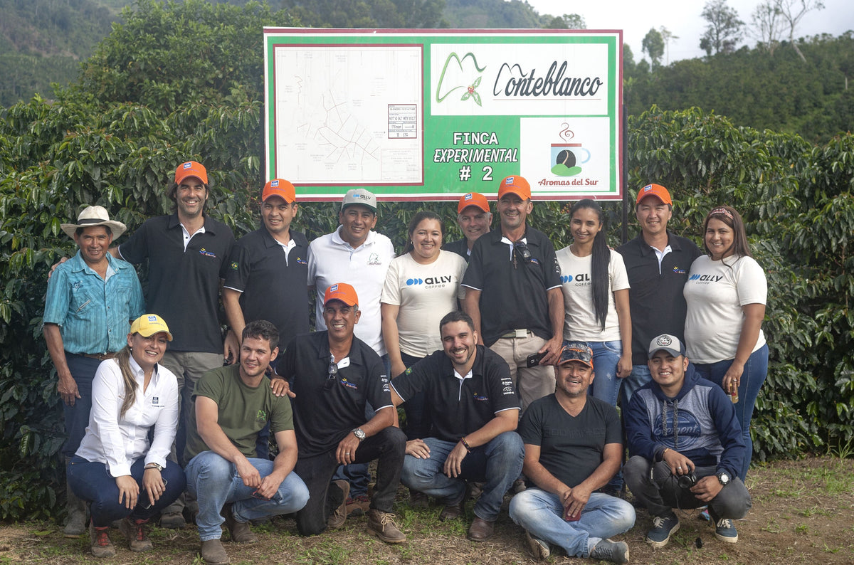 Behind the Scenes at Finca Monteblanco – Ally Open