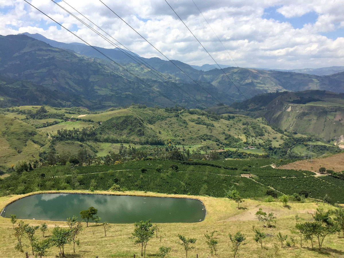 Farm Tour: Hacienda El Obraje – Ally Open