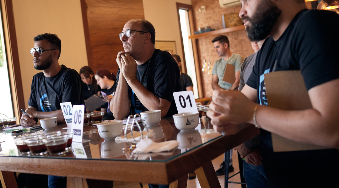 Learn About Specialty Green Coffee and Coffee Roasting! – Ally Open