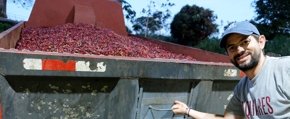 A Few Questions With... Diego Robelo – Ally Open